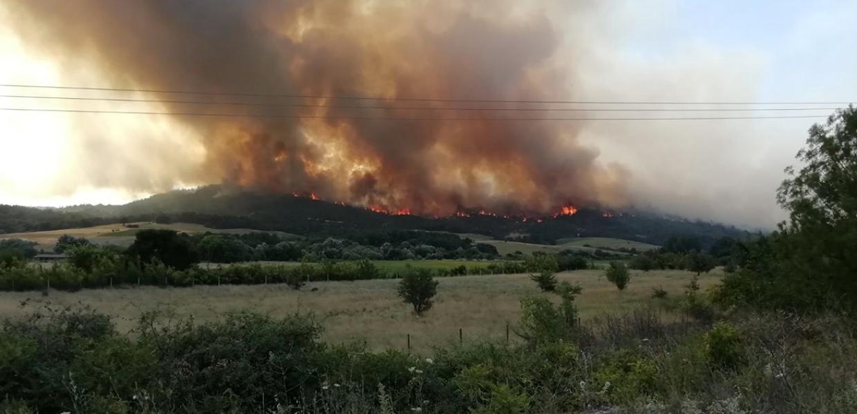 Εγκλημα εκ προμελέτης - kentri.blog