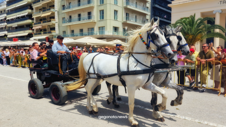 ΕΛΑΣΣΟΝΑ-ΣΑΡΑΝΤΑΠΟΡΟ – ΜΙΑ ΔΙΑΔΡΟΜΗ ΓΙΑ ΓΕΡΑ ΝΕΥΡΑ! - kentri.blog