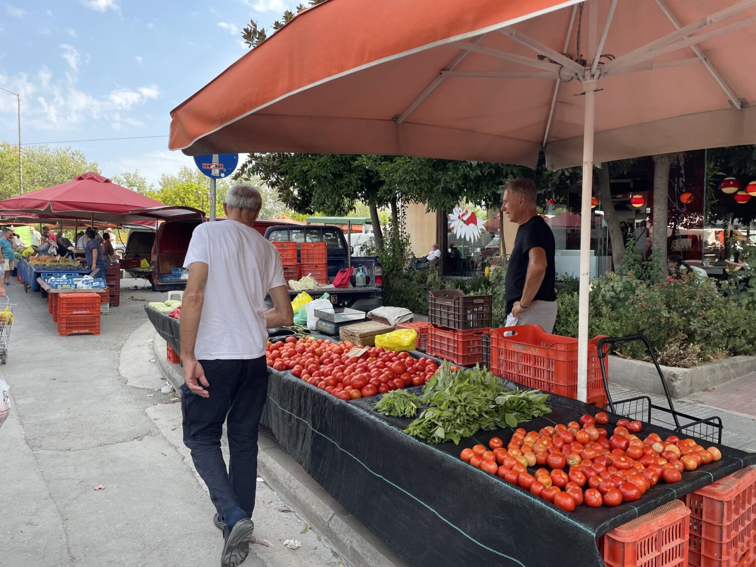 4€ στο χωράφι, 22€ στο σούπερ μάρκετ: Το φρούτο που κάποτε αγόραζαν ...